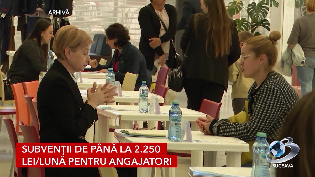 Ministerul Muncii: Un pachet de 18 măsuri pentru ocupare