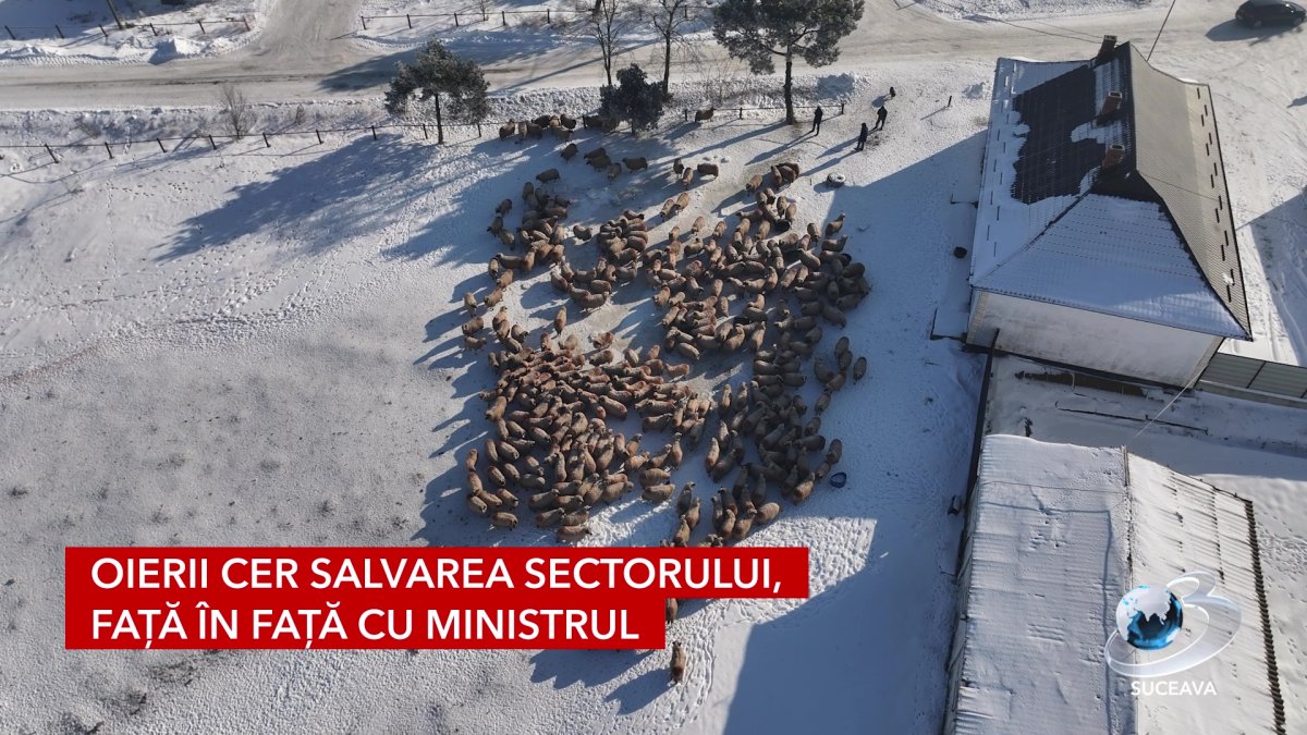 Oierii cer salvarea sectorului, față în față cu Ministrul